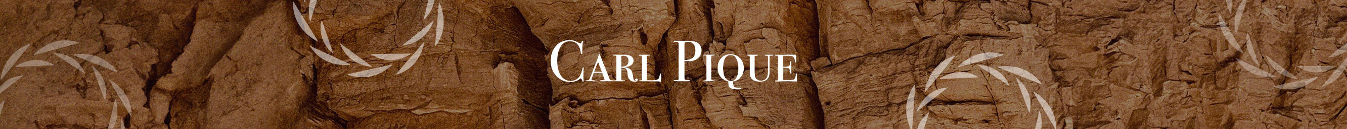 Carl Pique Sale | Large selection & low prices